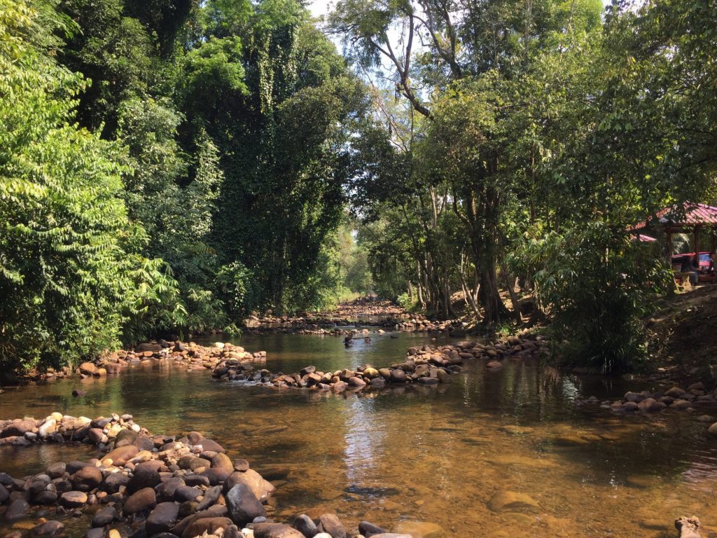 Taman Rekreasi Che Minah Sayang - VisitPahang.my